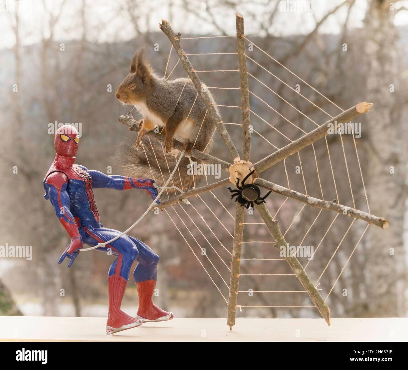Spiderman web hi-res stock photography and images - Alamy