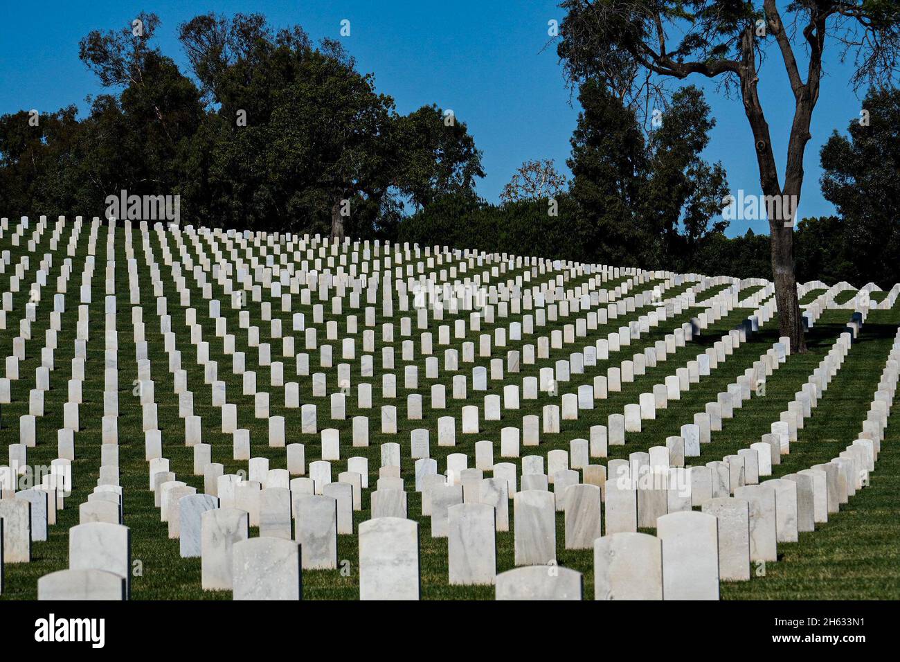 Los Angeles, California, USA. 11th Nov, 2021. Veterans Day at the Los ...