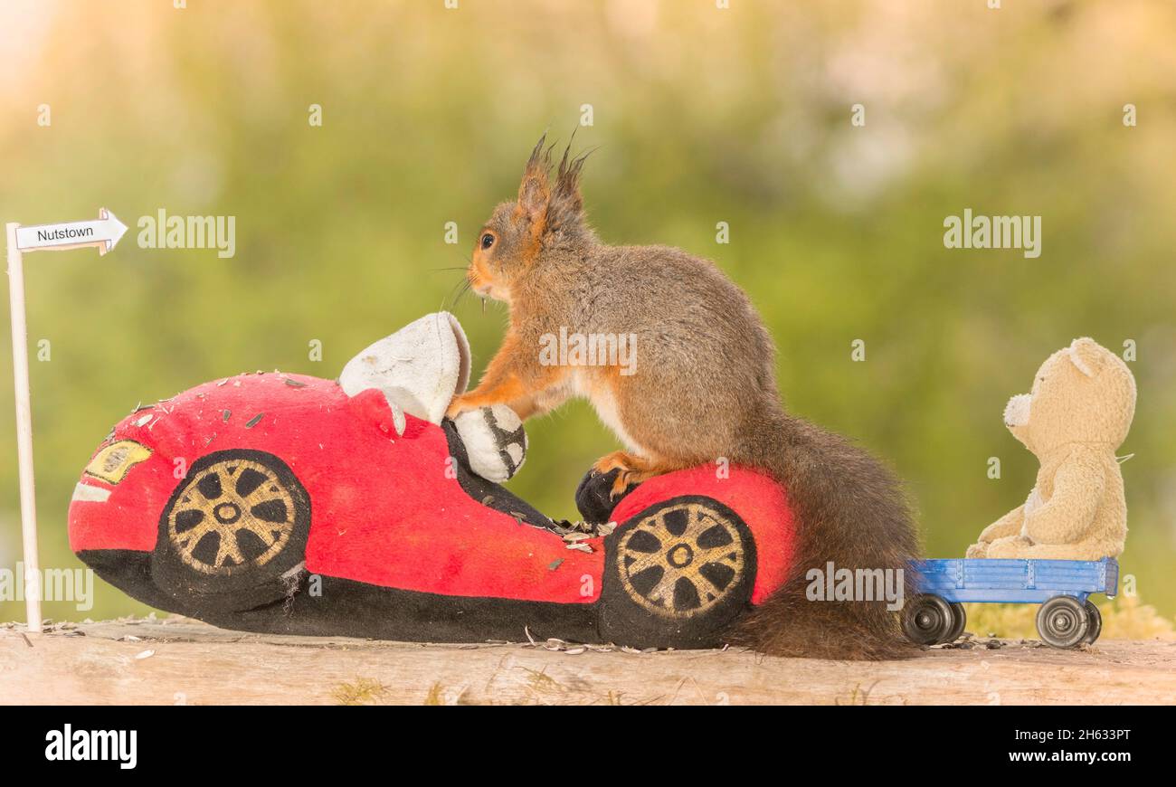 Car driving behind bus hi-res stock photography and images - Alamy