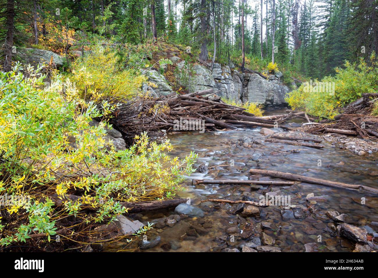 Cascade Creek rushing over river rocks and past jagged cliffs ...