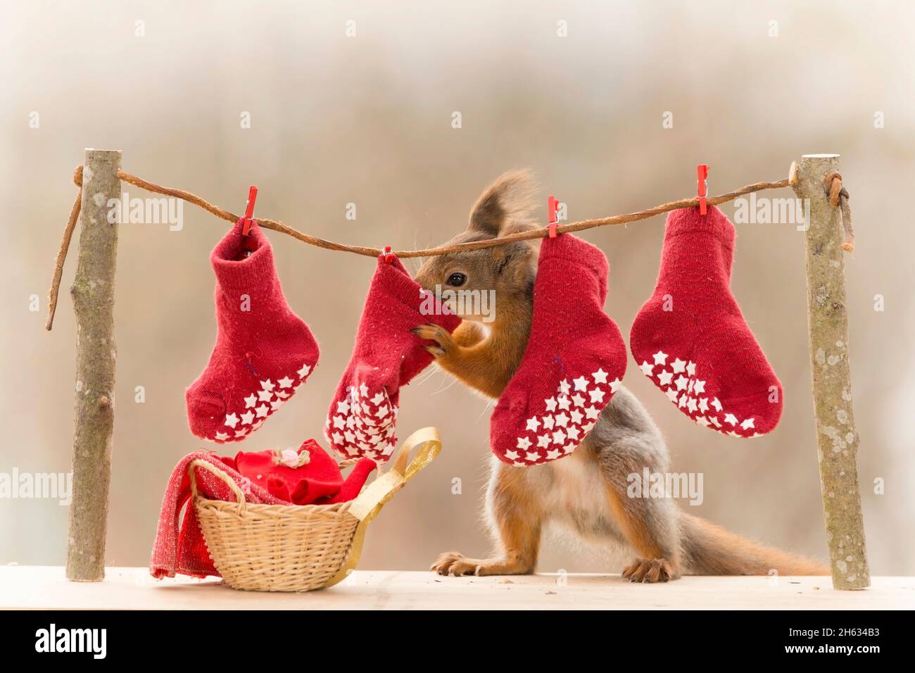 Red laundry line hi-res stock photography and images - Alamy