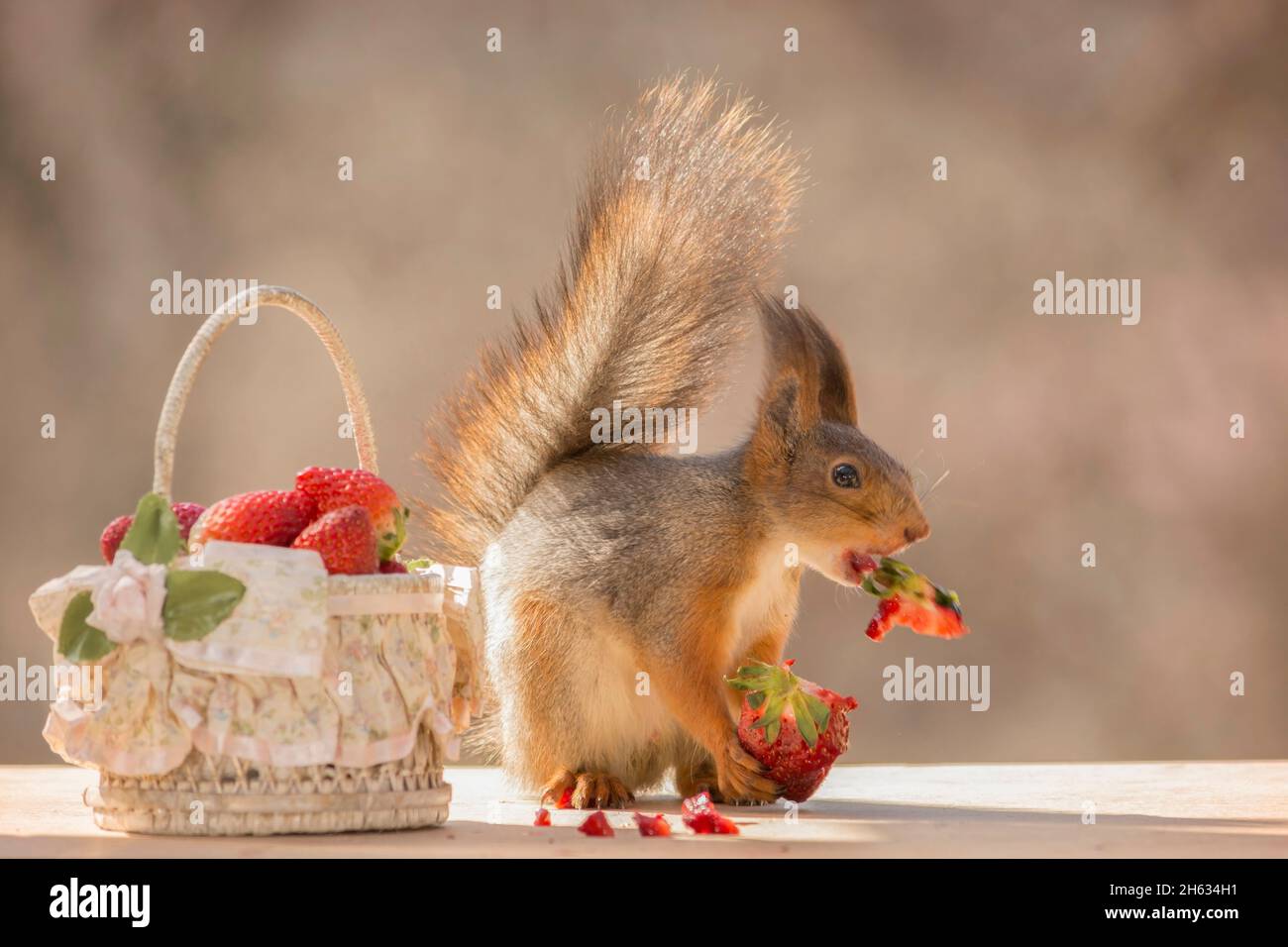 Strawberry spit hi-res stock photography and images - Alamy