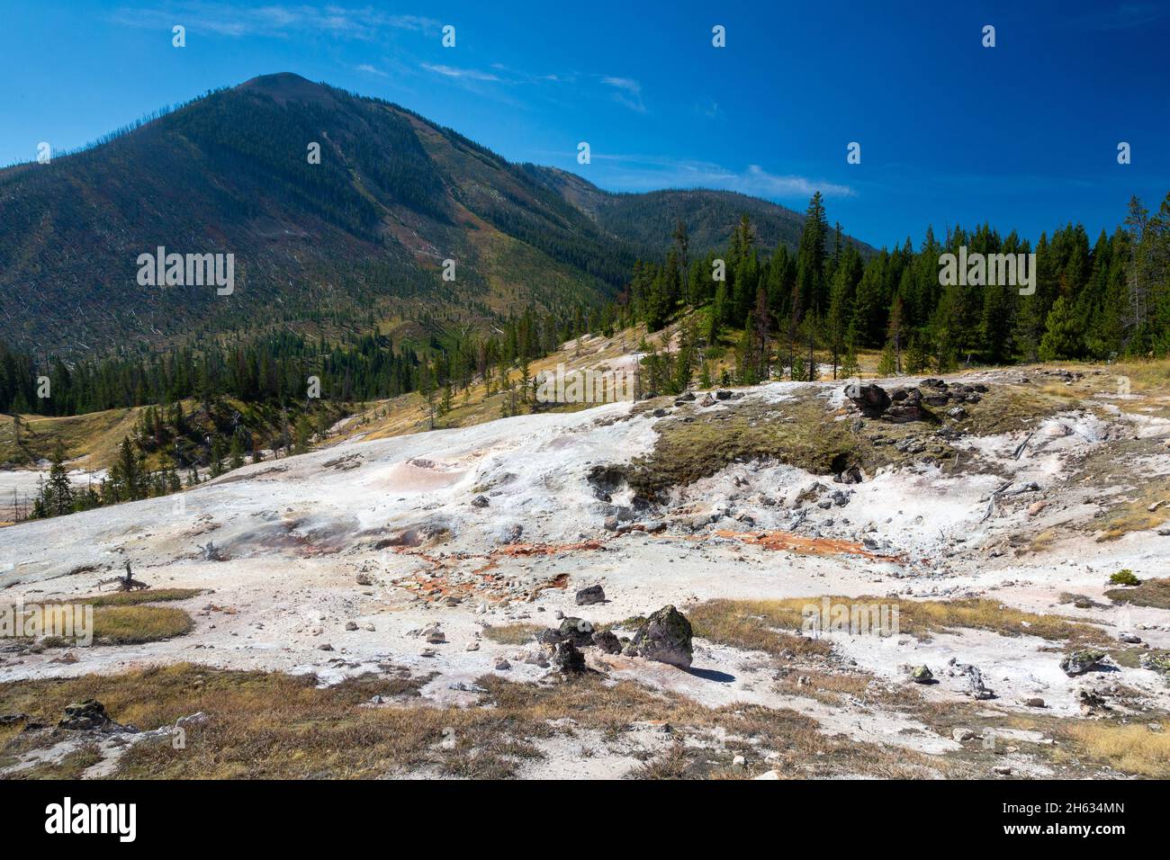Thermal features of the Upper Group of the Heart Lake Geyser Basin ...