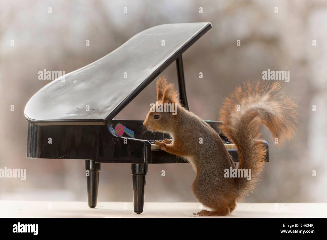 Red piano show hi-res stock photography and images - Alamy