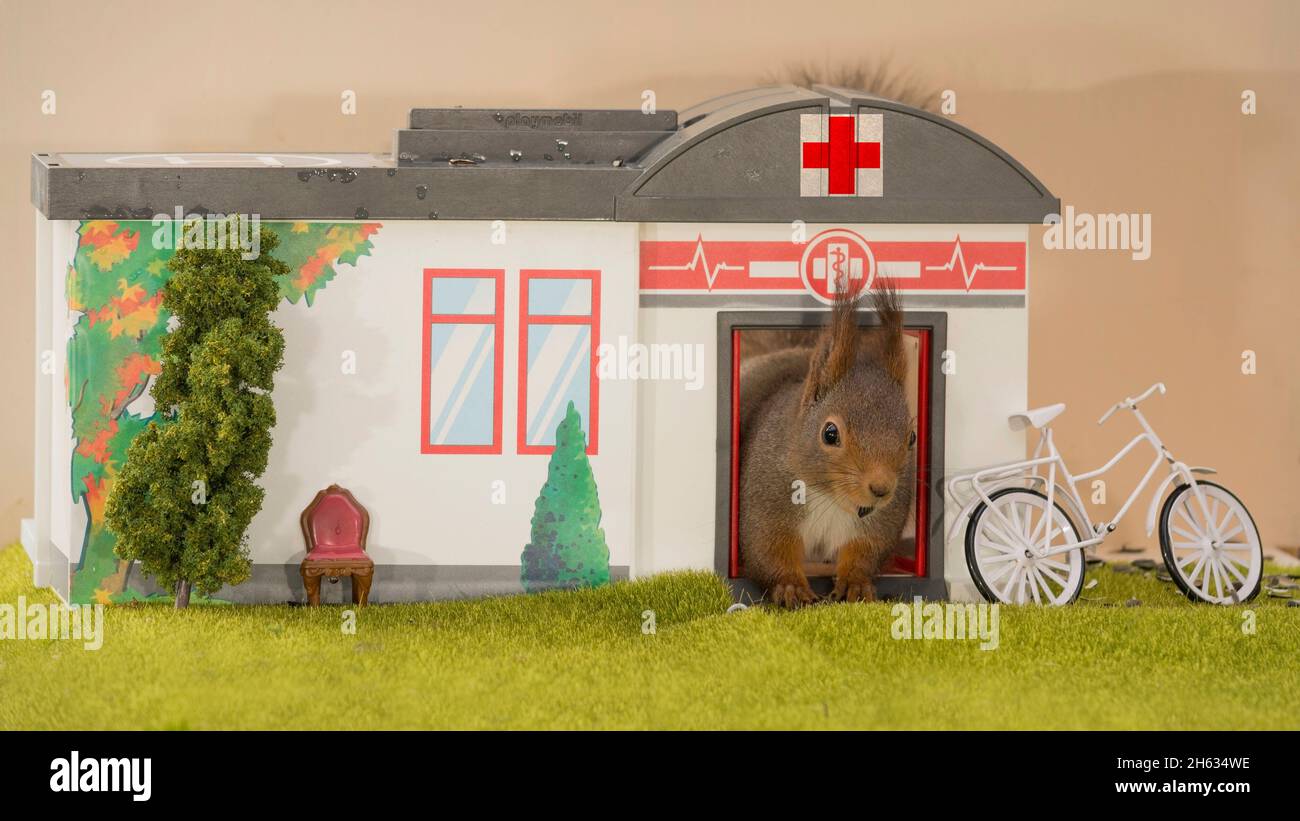 Hospital plant hi-res stock photography and images - Alamy