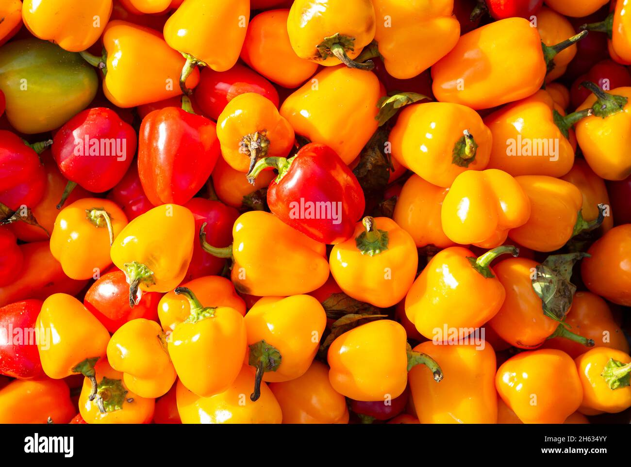 Food overhead view vibrant hi-res stock photography and images - Alamy