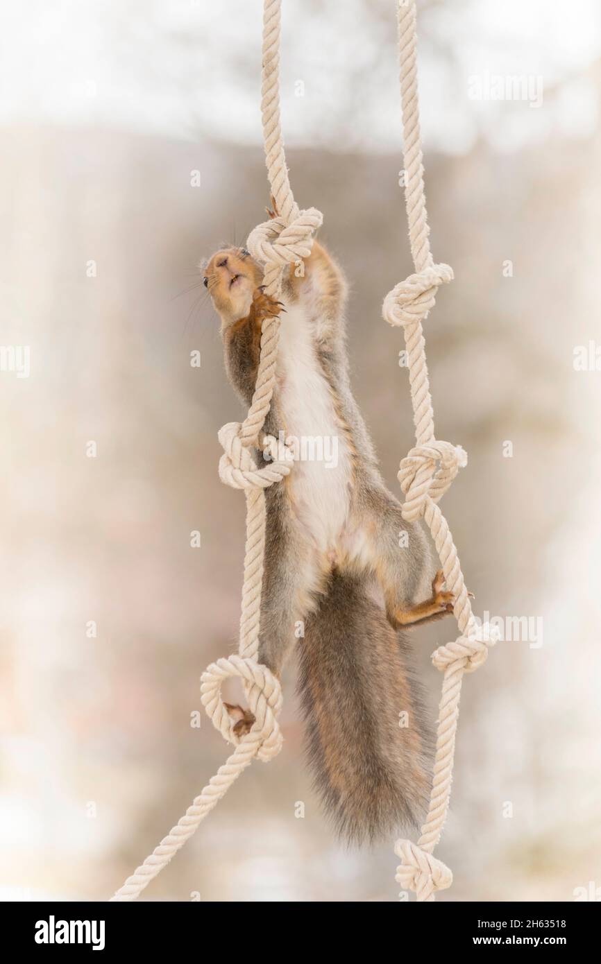 Hanging ropes hi-res stock photography and images - Alamy