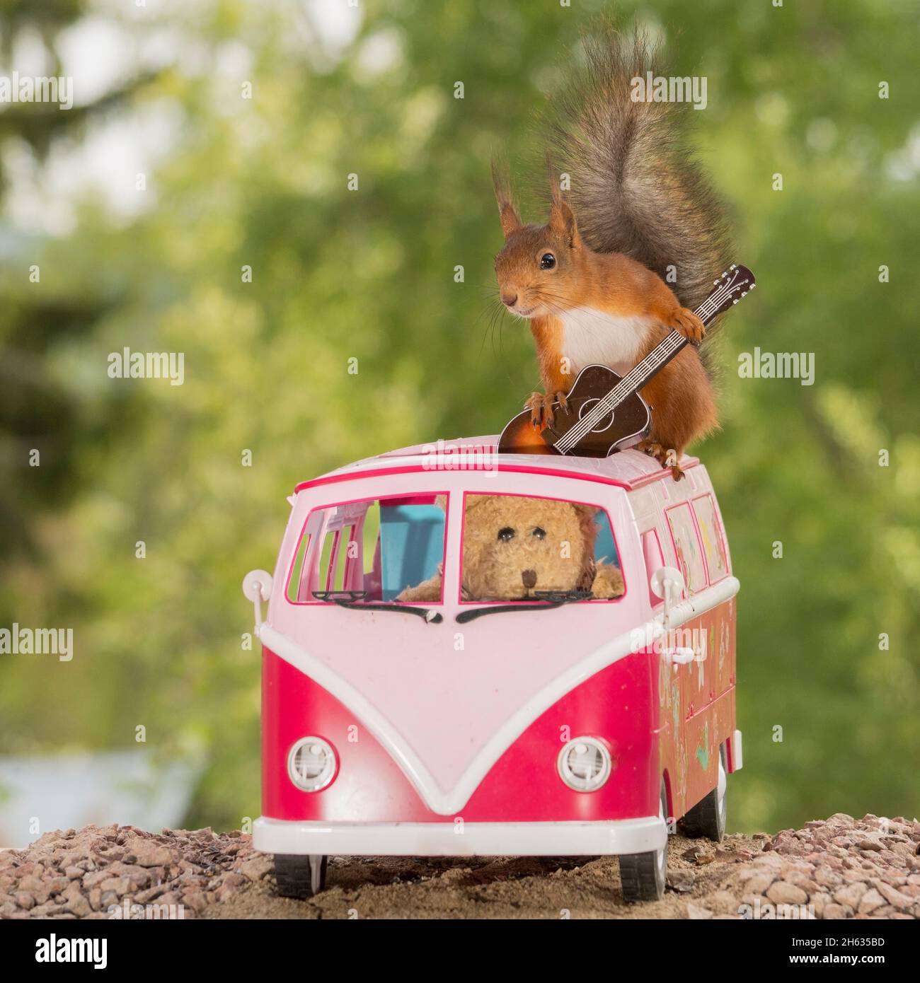 Car driving behind bus hi-res stock photography and images - Alamy