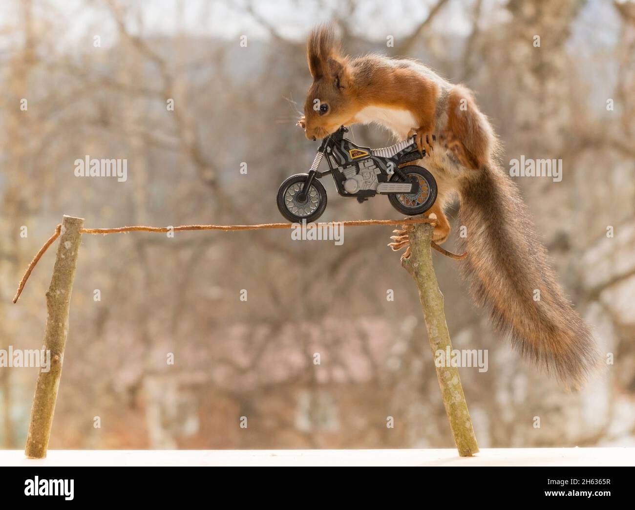 People on motor cycle hi-res stock photography and images - Alamy