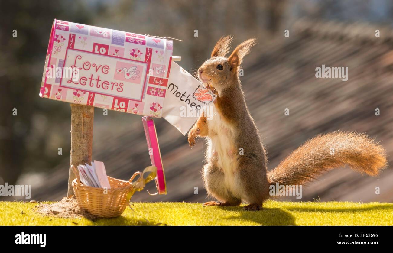 Postman holding a letter hi-res stock photography and images - Alamy