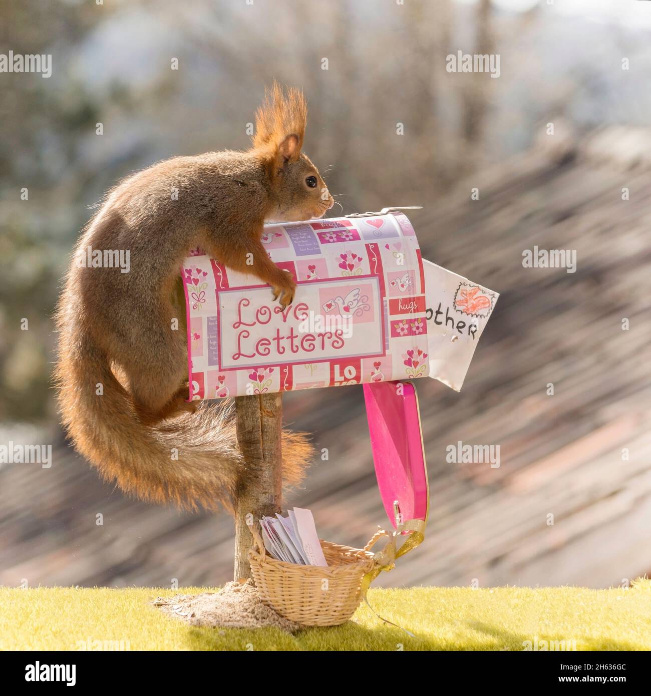 Postman holding a letter hi-res stock photography and images - Alamy