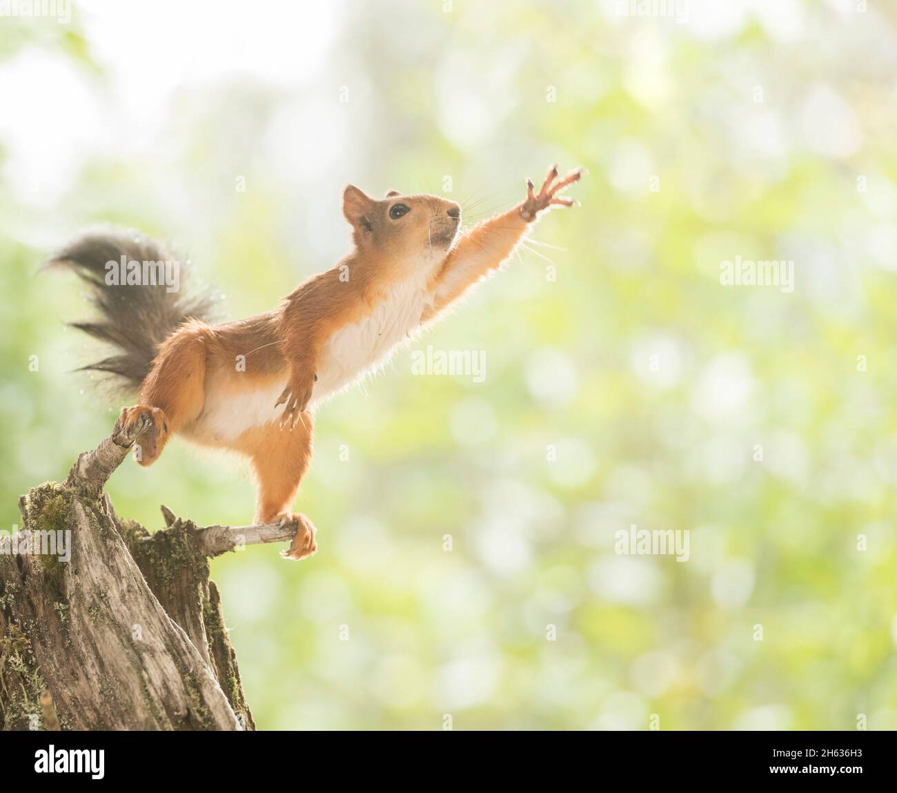 Reaching out to hi-res stock photography and images - Alamy