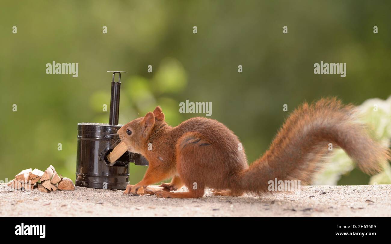 Firewood stove hi-res stock photography and images - Alamy
