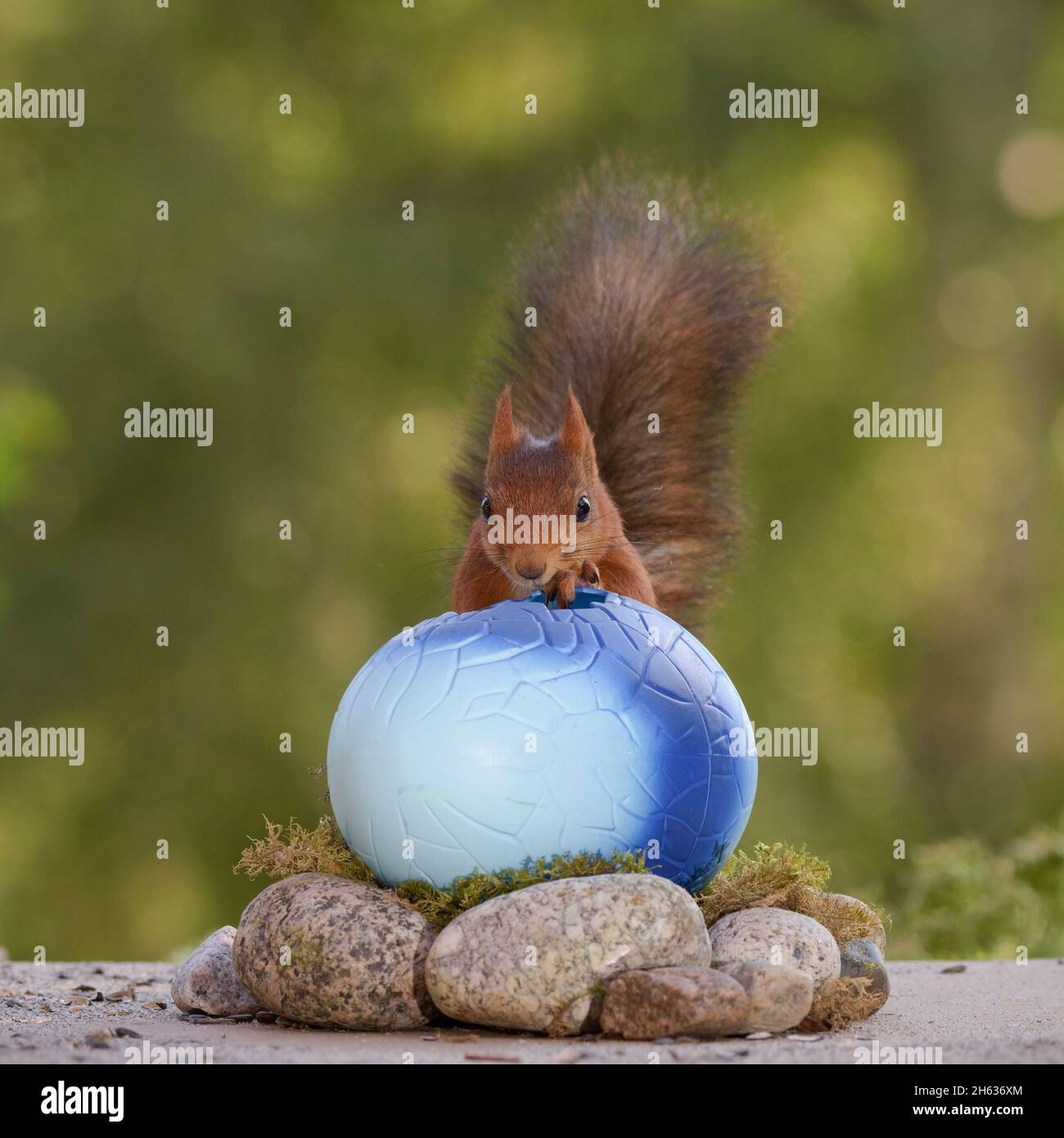 Eragon Dragon Egg Replica