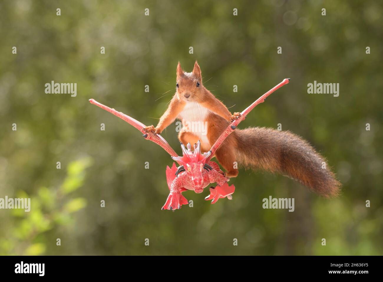 Flying dragon hi-res stock photography and images - Alamy