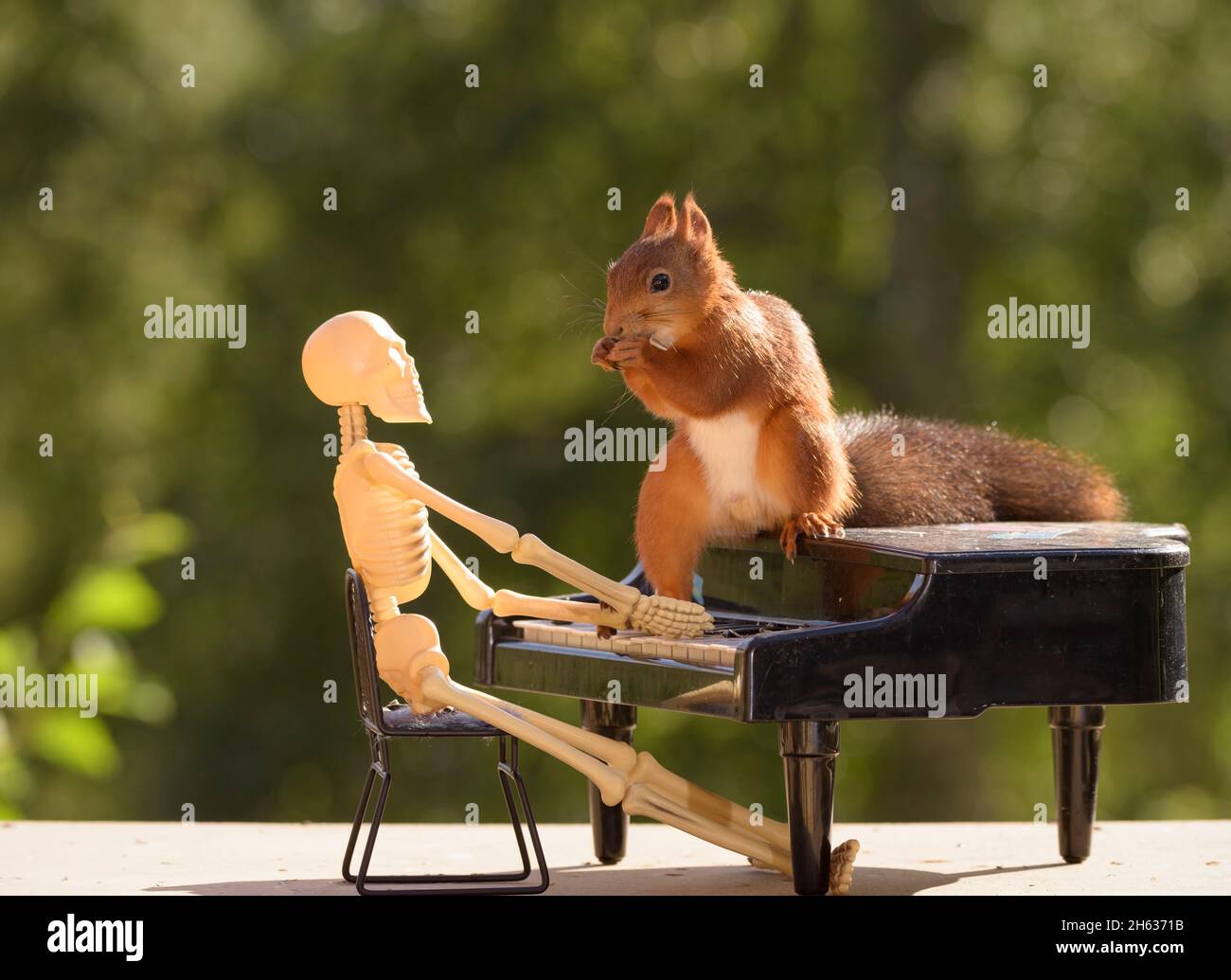 Skeleton piano hi-res stock photography and images - Alamy