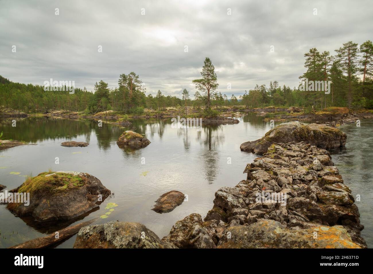 Lake into the forest hi-res stock photography and images - Alamy