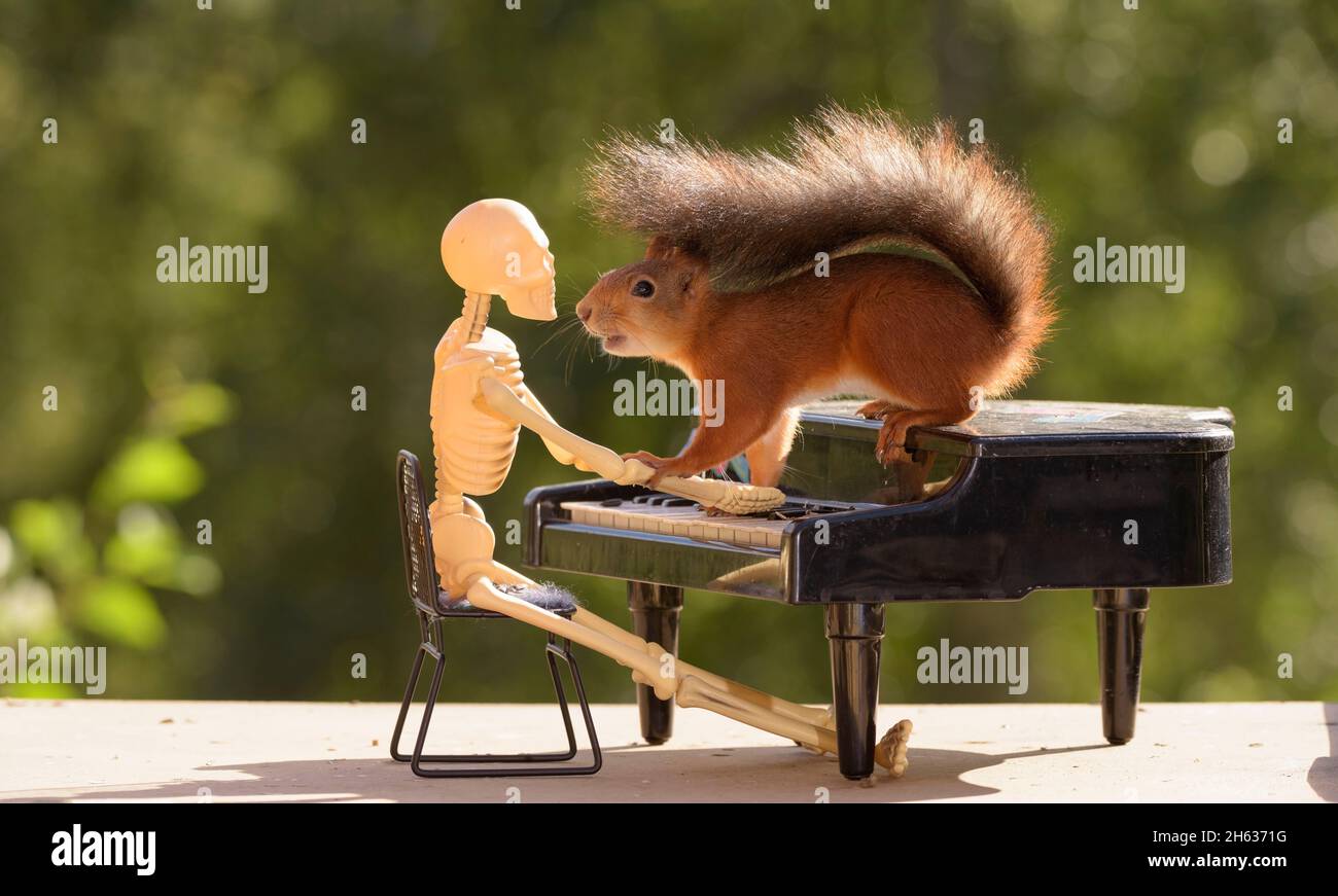 Skeleton piano hi-res stock photography and images - Alamy