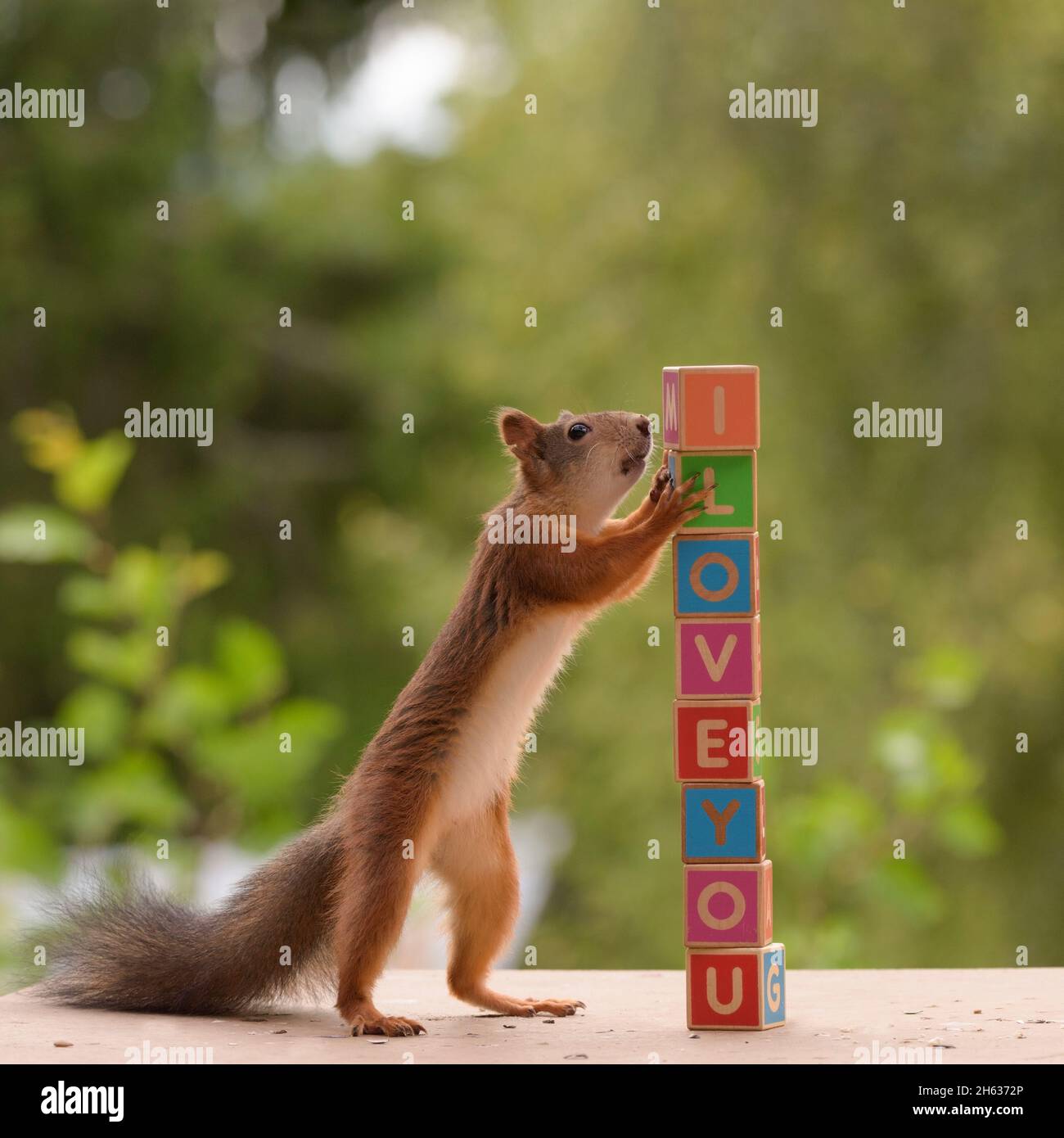 I love school hi-res stock photography and images - Alamy