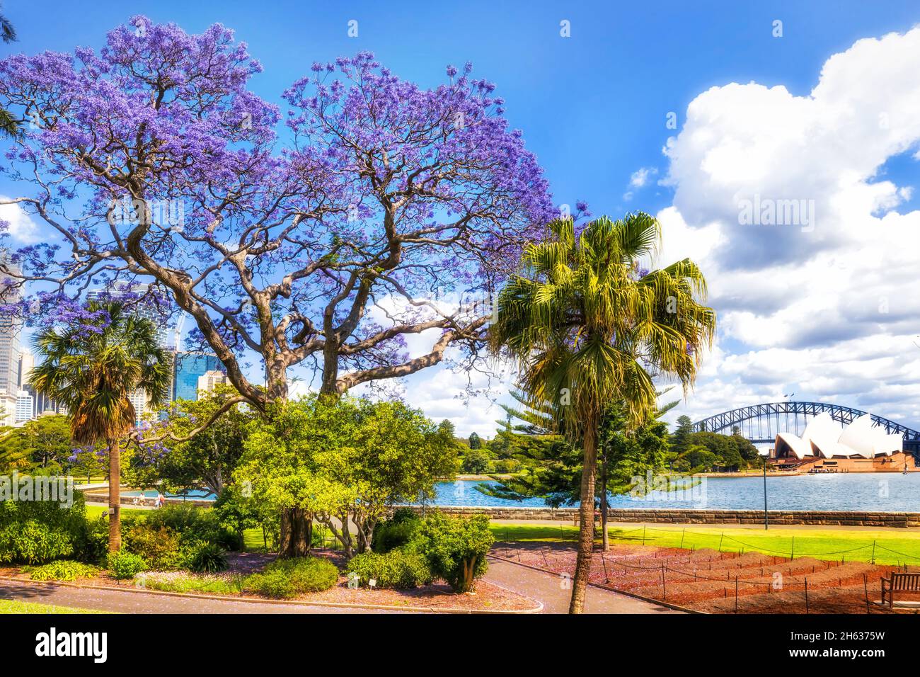 Green spring time public park on shores of Sydney Harbour in city of ...