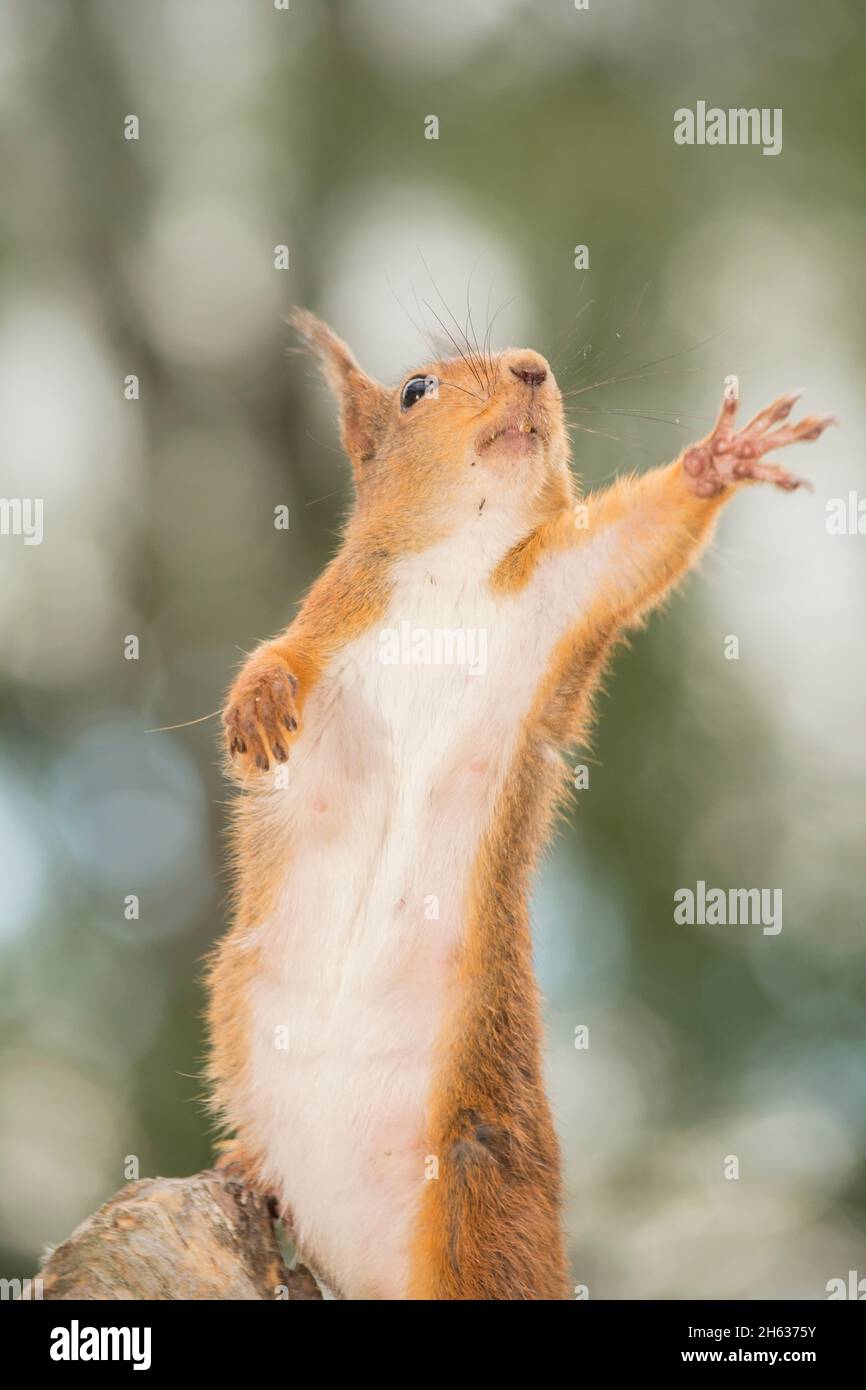 Hand reaching out close up hi-res stock photography and images - Alamy