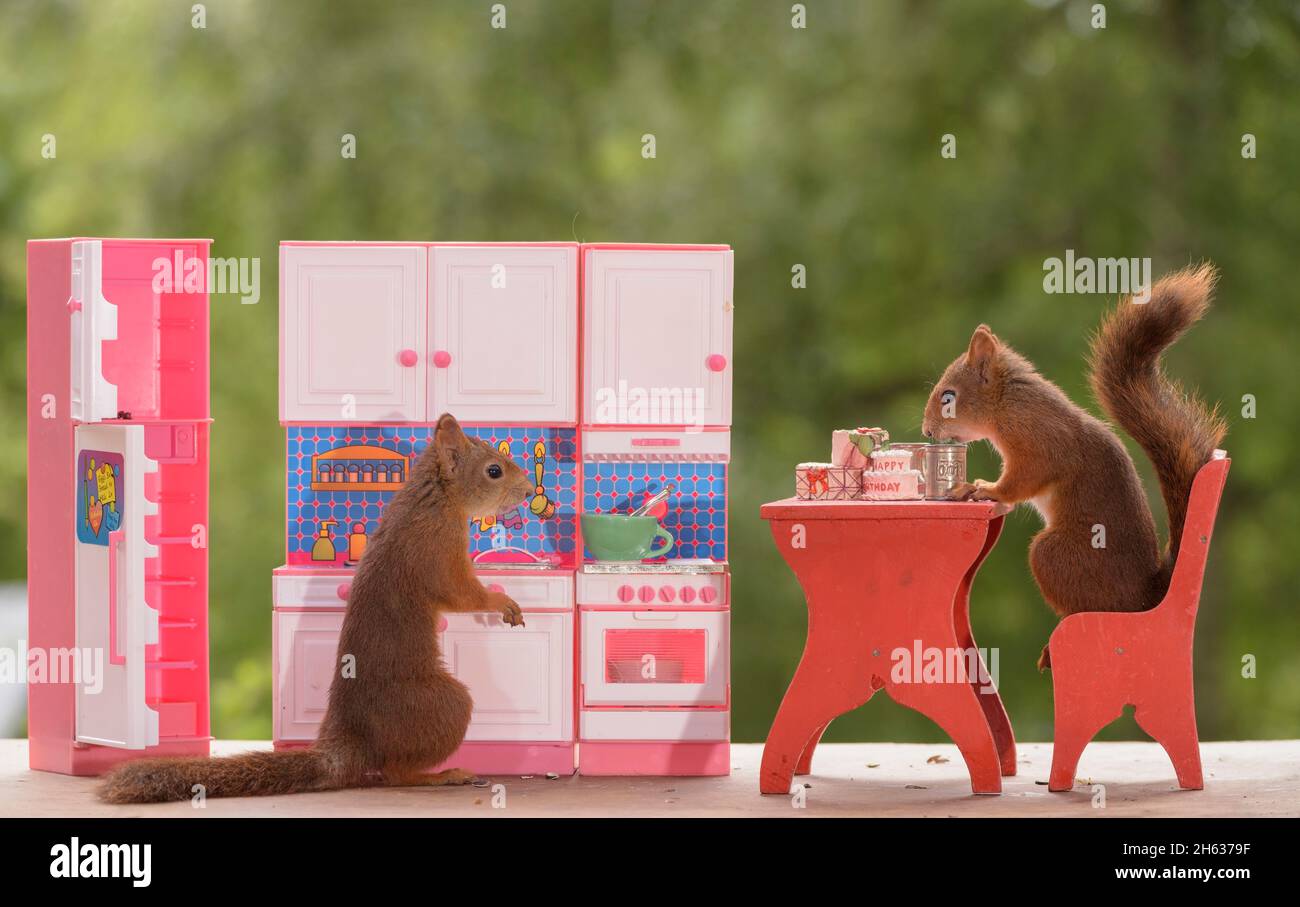 Squirrel picnic table hi-res stock photography and images - Alamy