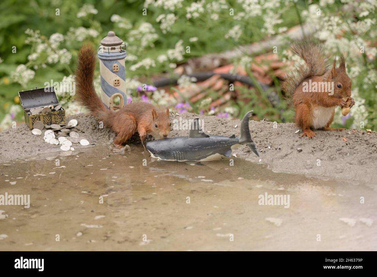 Shark tower hi-res stock photography and images - Alamy