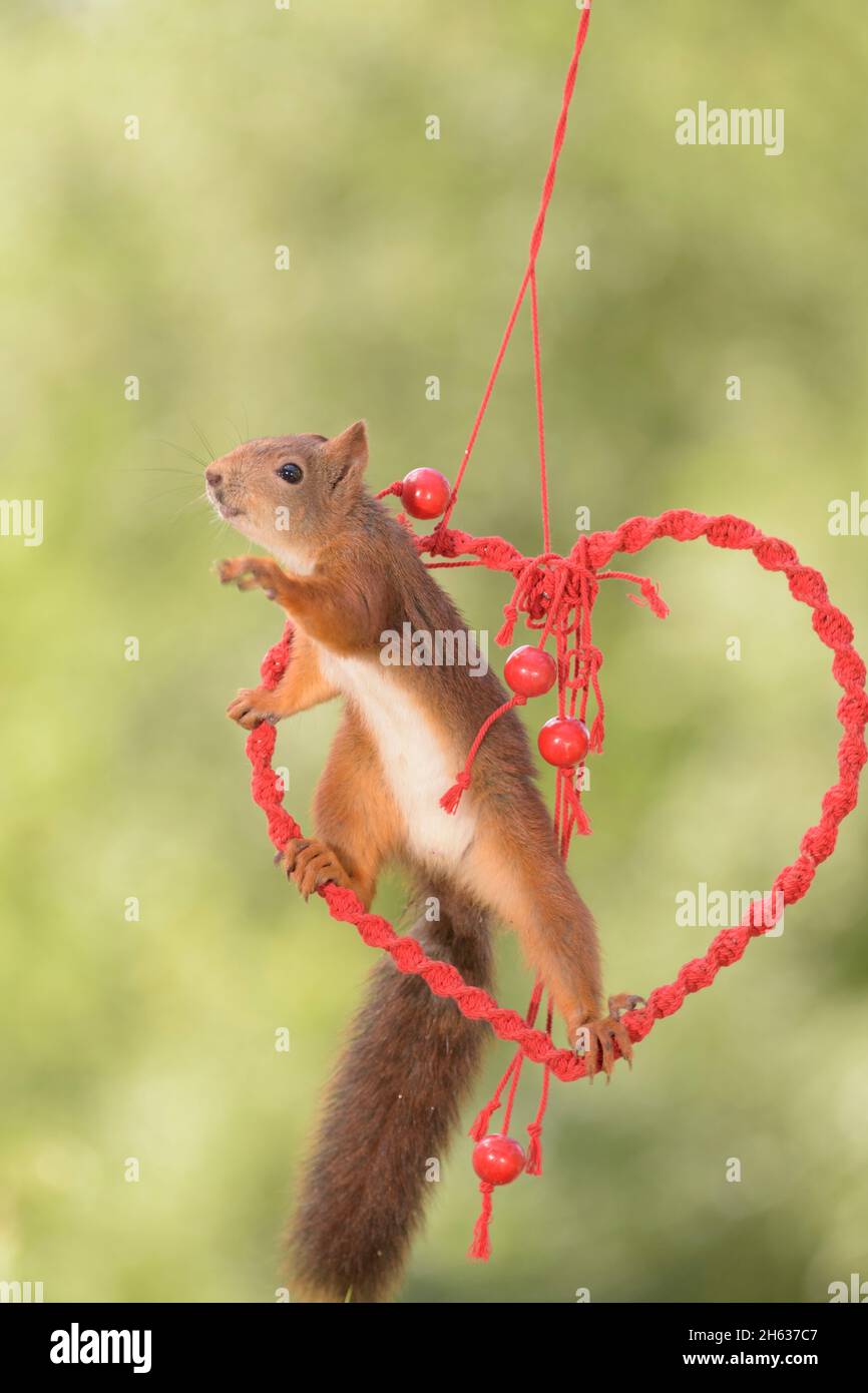 Sitting heart hi-res stock photography and images - Alamy