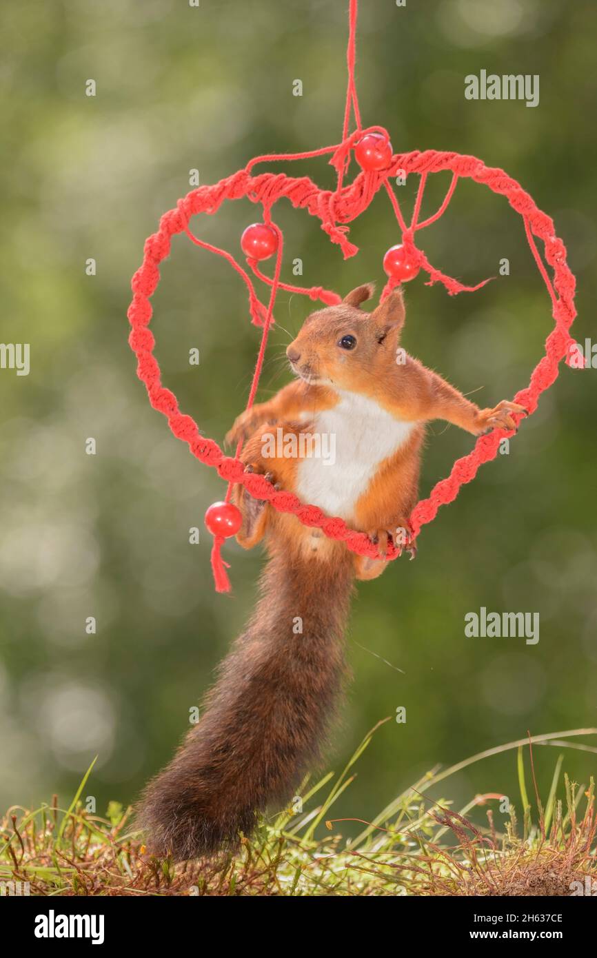 Sitting heart hi-res stock photography and images - Alamy