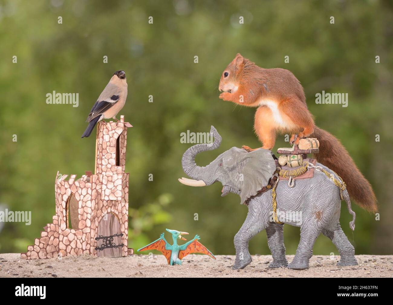 Finch building hi-res stock photography and images - Alamy