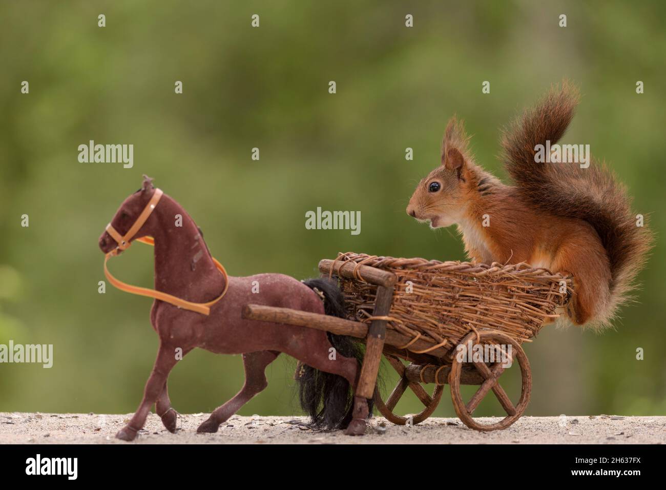 Chariot ride hi-res stock photography and images - Alamy