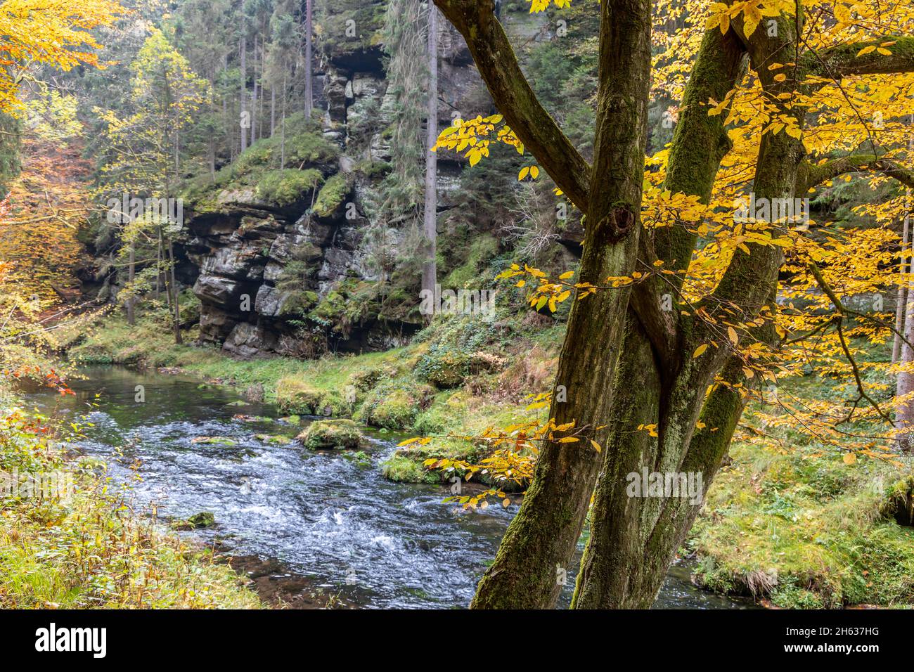 Edmundsklamm Elbsandsteingebirge böhmische Schweiz Stock Photo - Alamy