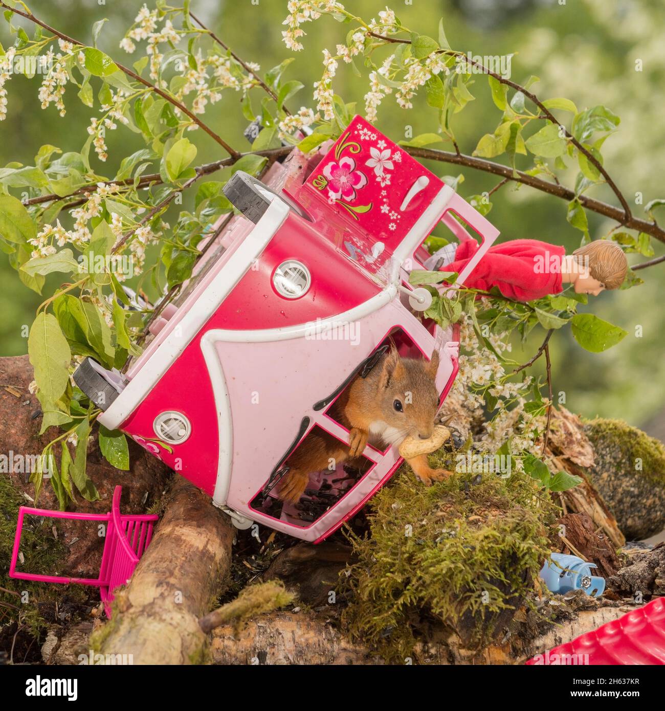 Bus Crashed High Resolution Stock Photography and Images - Alamy