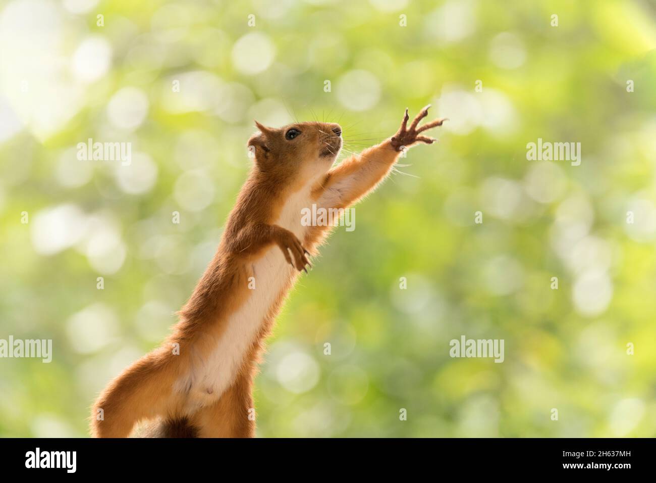 Reaching out her hi-res stock photography and images - Alamy
