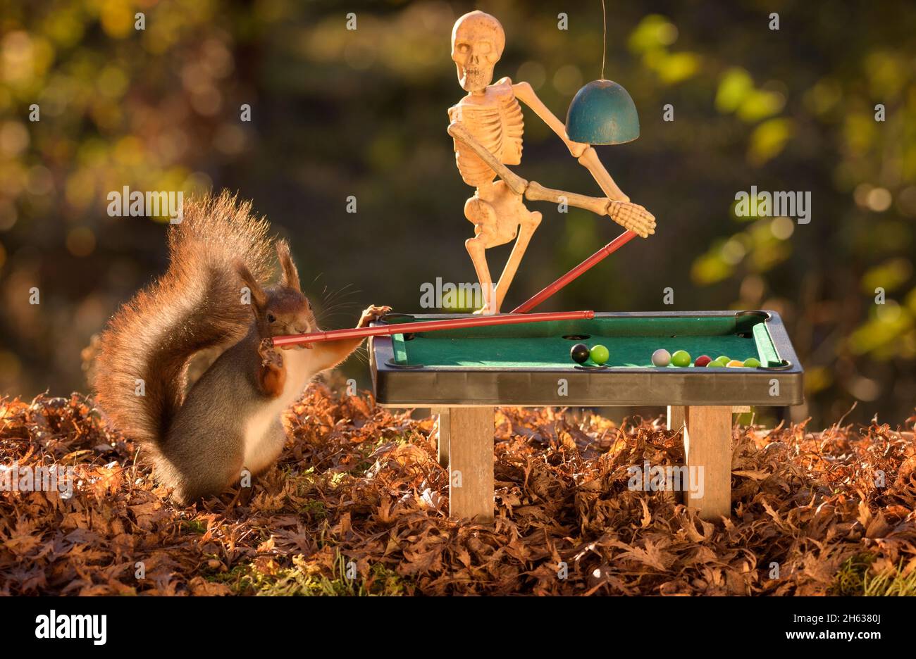 Skeleton table hi-res stock photography and images - Alamy