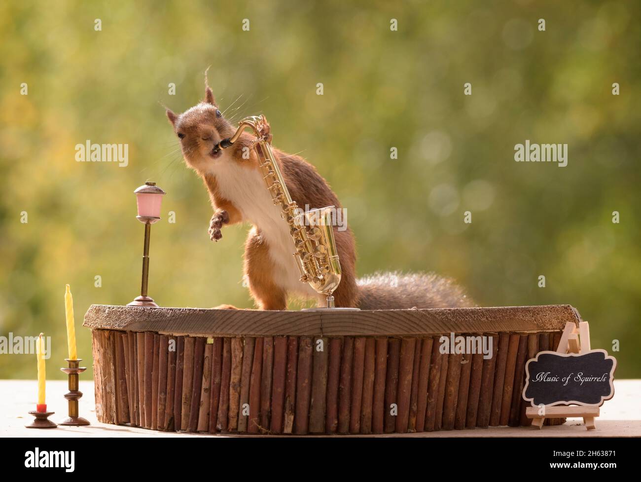 Saxophone in hi-res stock photography and images - Alamy