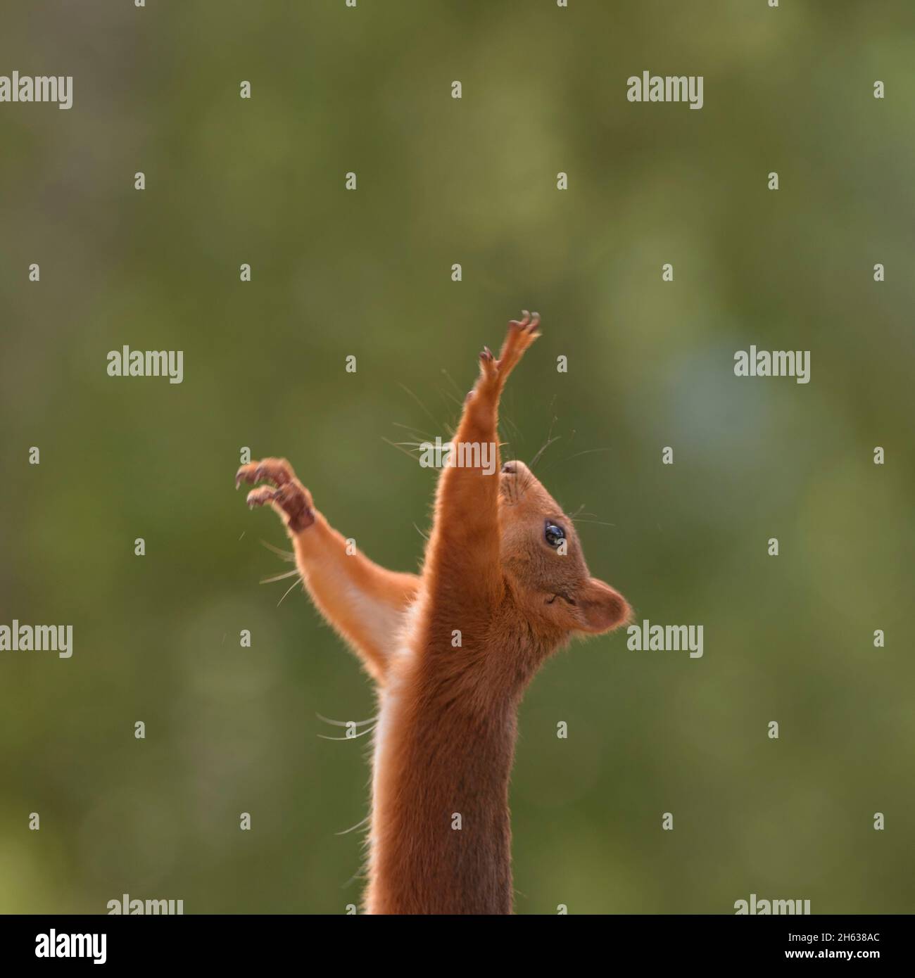 Reaching out to hi-res stock photography and images - Alamy