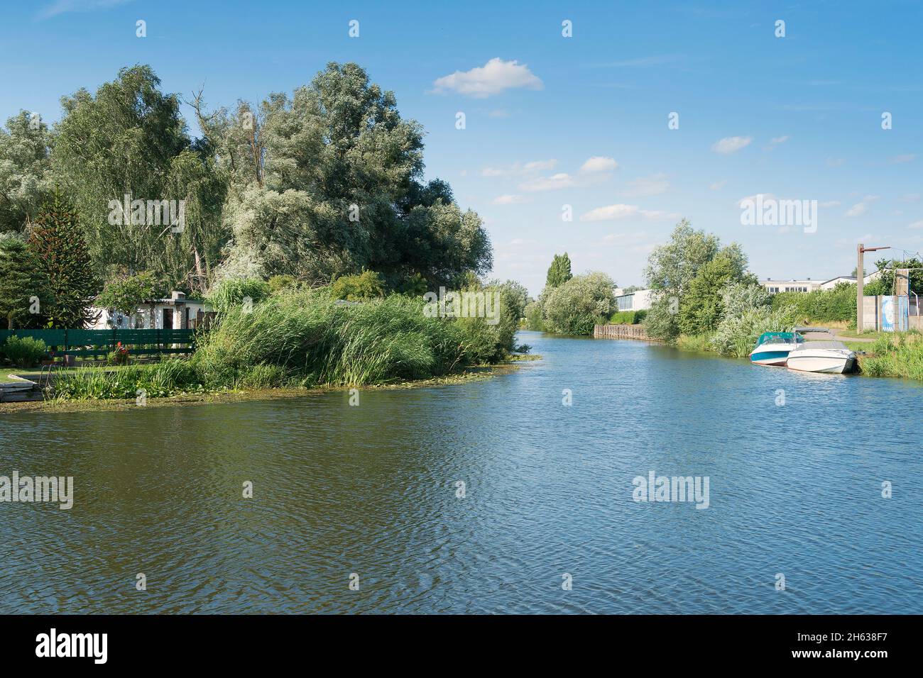 Peene valley river landscape nature park hi-res stock photography and ...