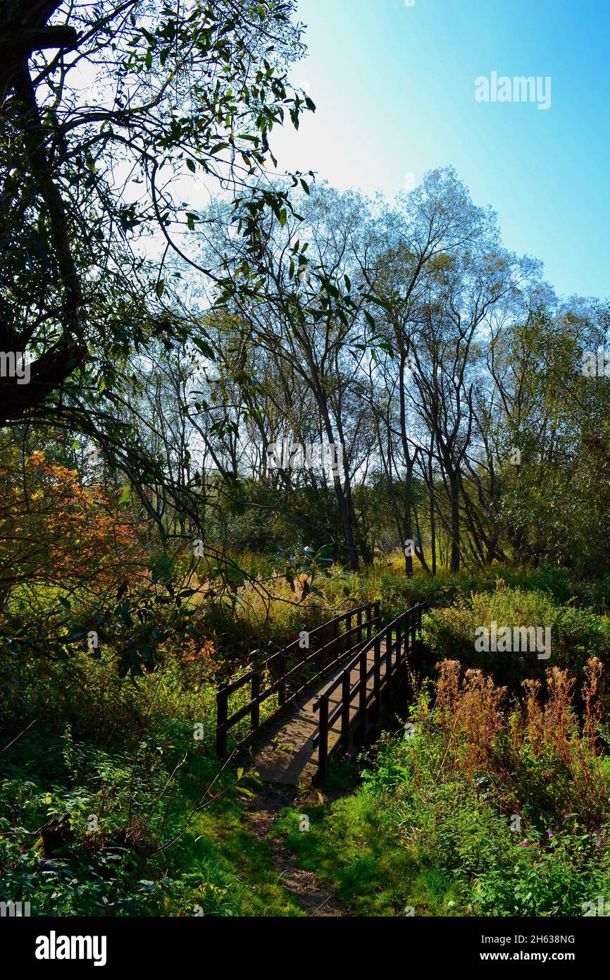 Billingham beck hi-res stock photography and images - Alamy