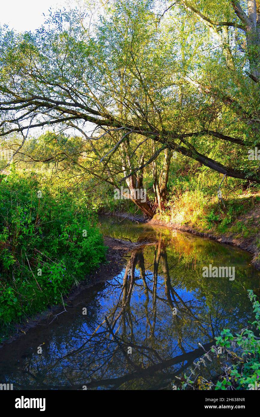 Billingham hi-res stock photography and images - Alamy