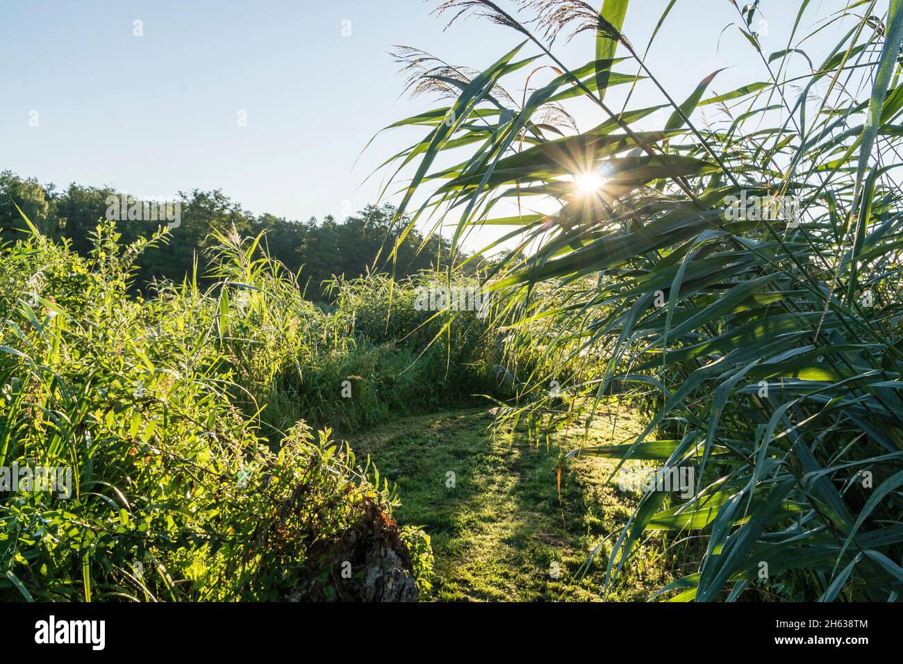 peenetal river landscape nature park,stolpe water hiking rest stop ...