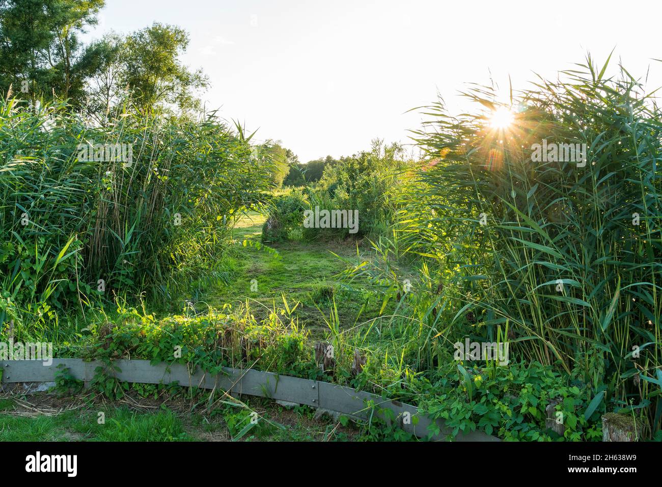 peenetal river landscape nature park,stolpe water hiking rest stop ...