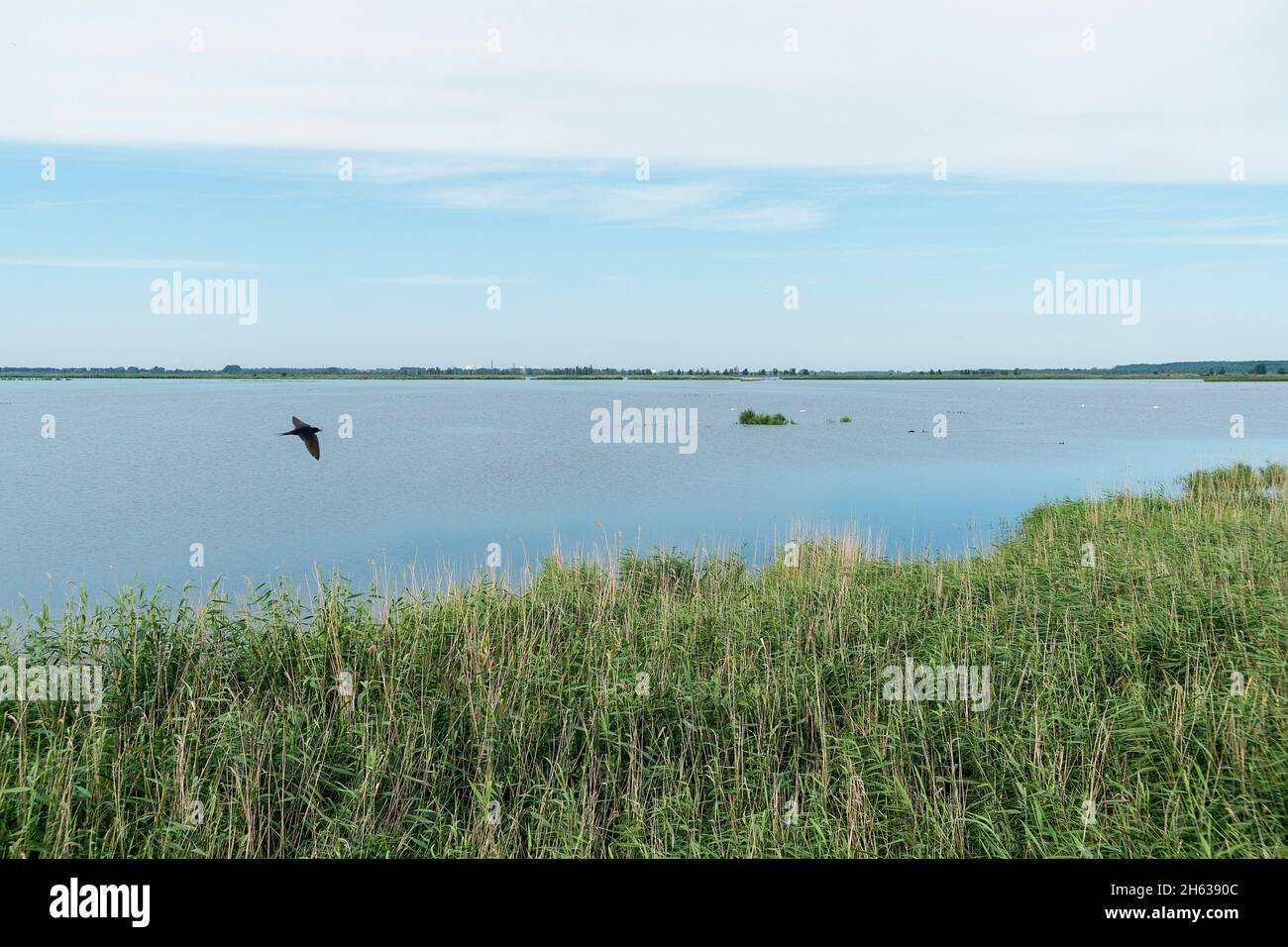 Polder immenstadt hi-res stock photography and images - Alamy