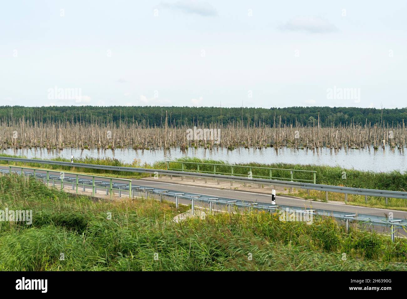 peenetal river landscape nature park,polder renaturation,"polder ...
