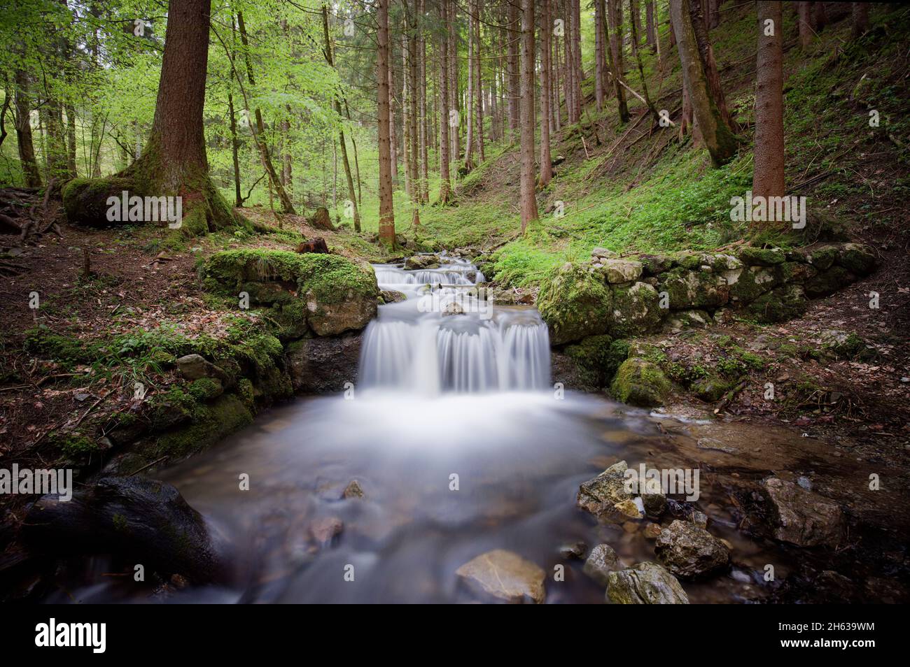 watercourse,brook in the allgäu Stock Photo - Alamy