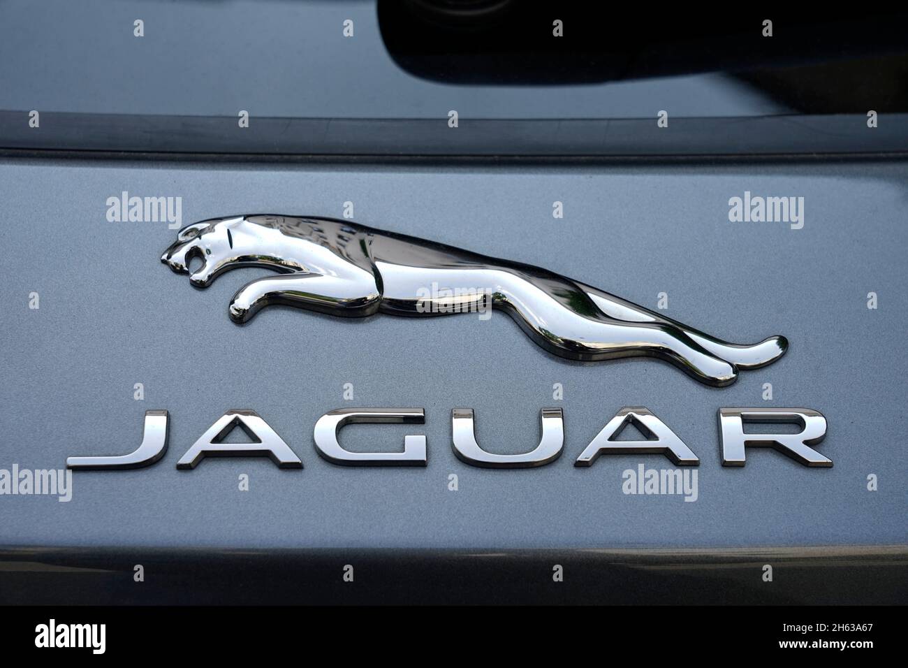 car,jaguar,detail,jaguar emblem on the rear of a car,company logo ...