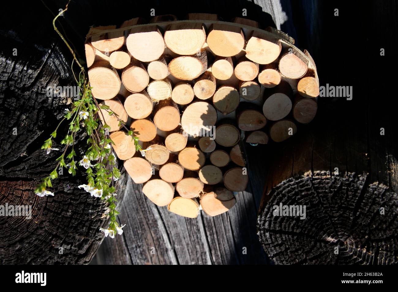 decoration heart with flowers on tree stump,decoration heart,at garden ...