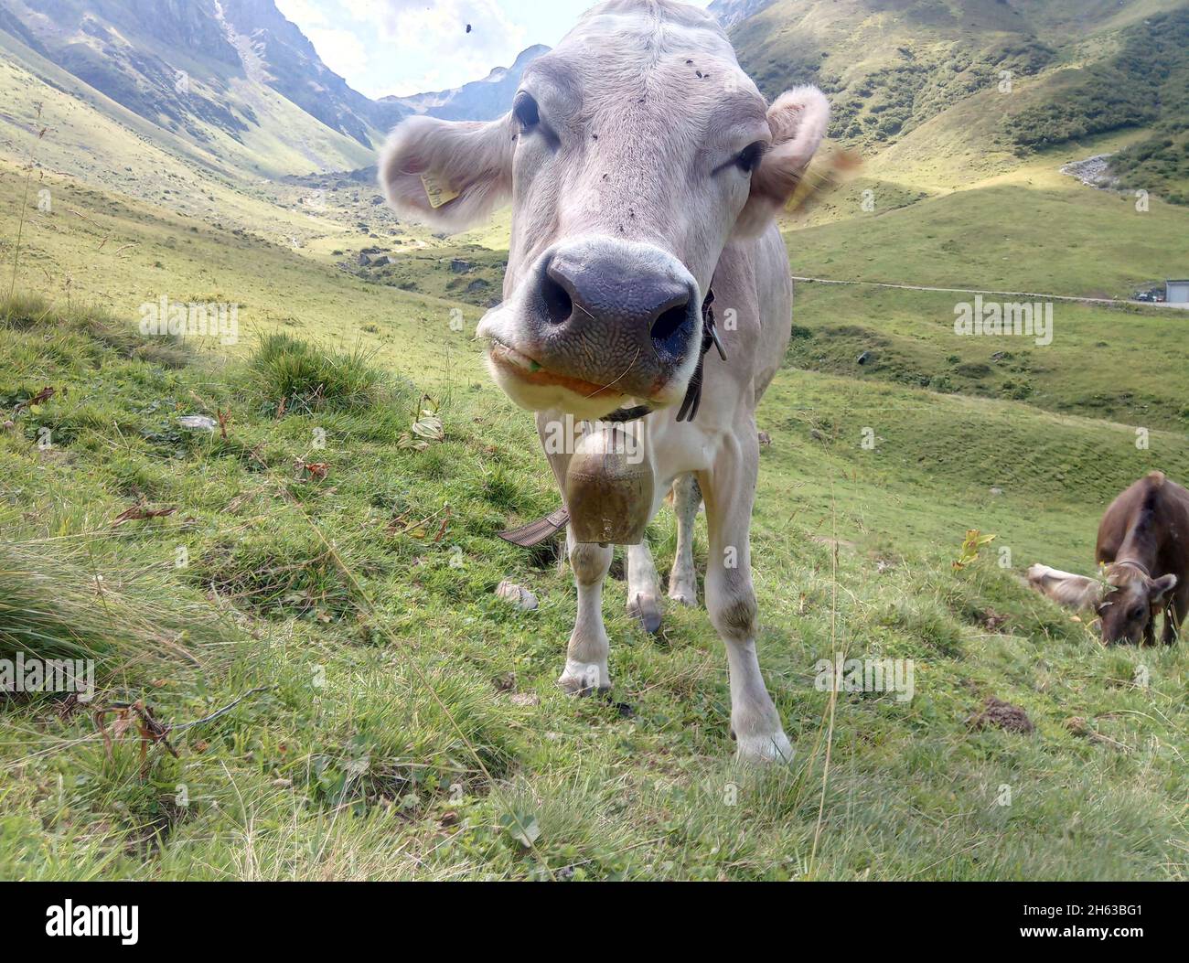 Alpe nova hi-res stock photography and images - Alamy
