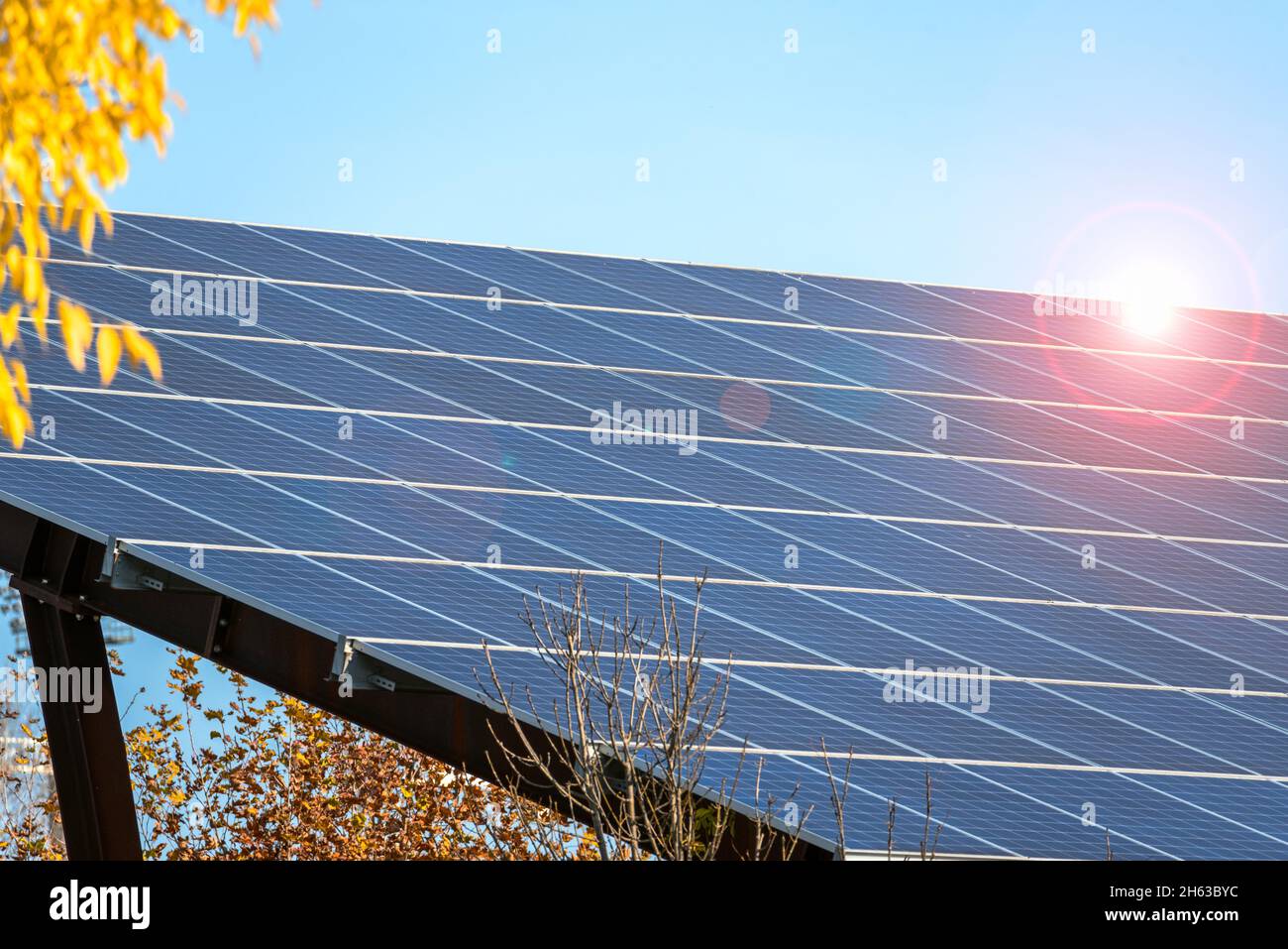 Solar panel tree hi-res stock photography and images - Alamy