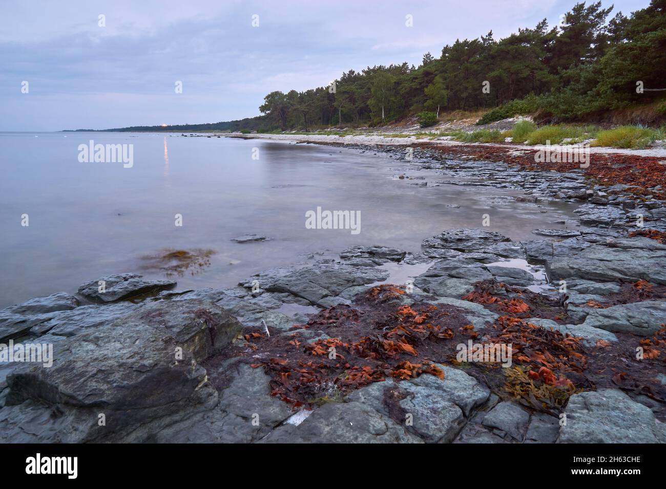 Shoreline rocks and stones hi-res stock photography and images - Alamy